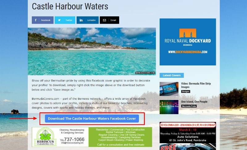How To Use The Covers - BernewsCupMatch.com
